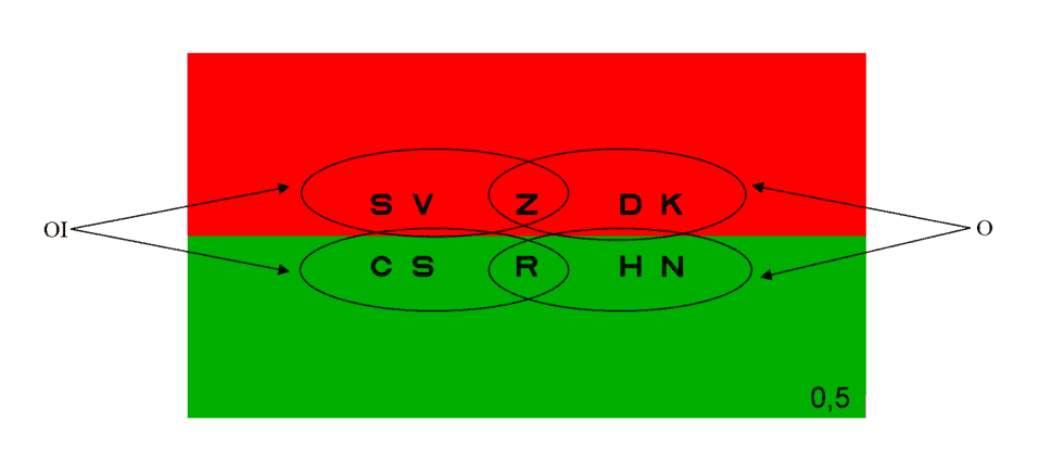 Binocular Balance | Optonet
